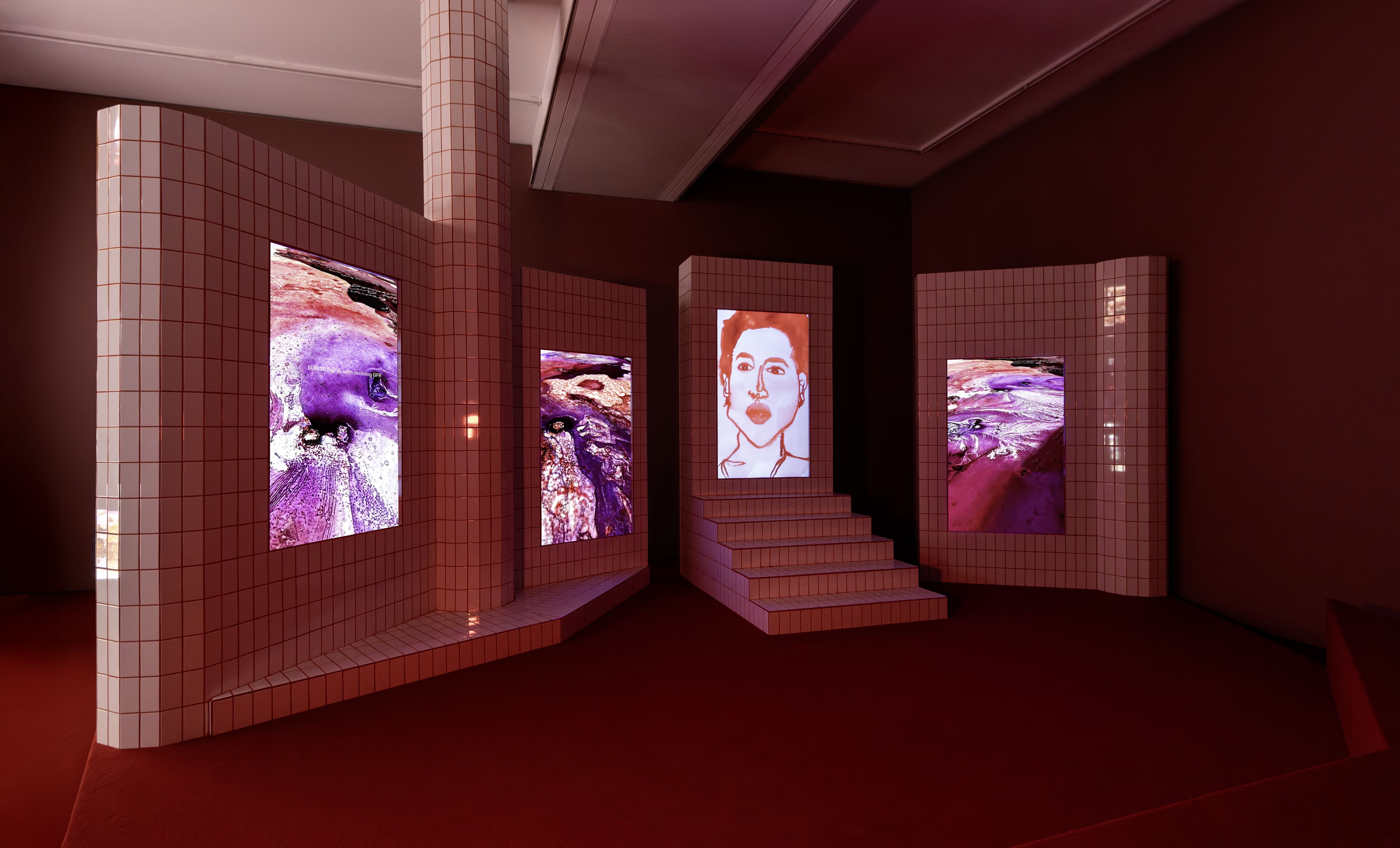 The Red Queen Effect | Berlin Science Week